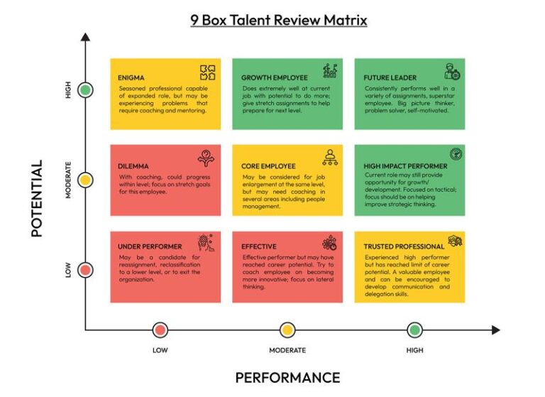 What is a 9-Box Grid Assessment Test? | Skillrobo